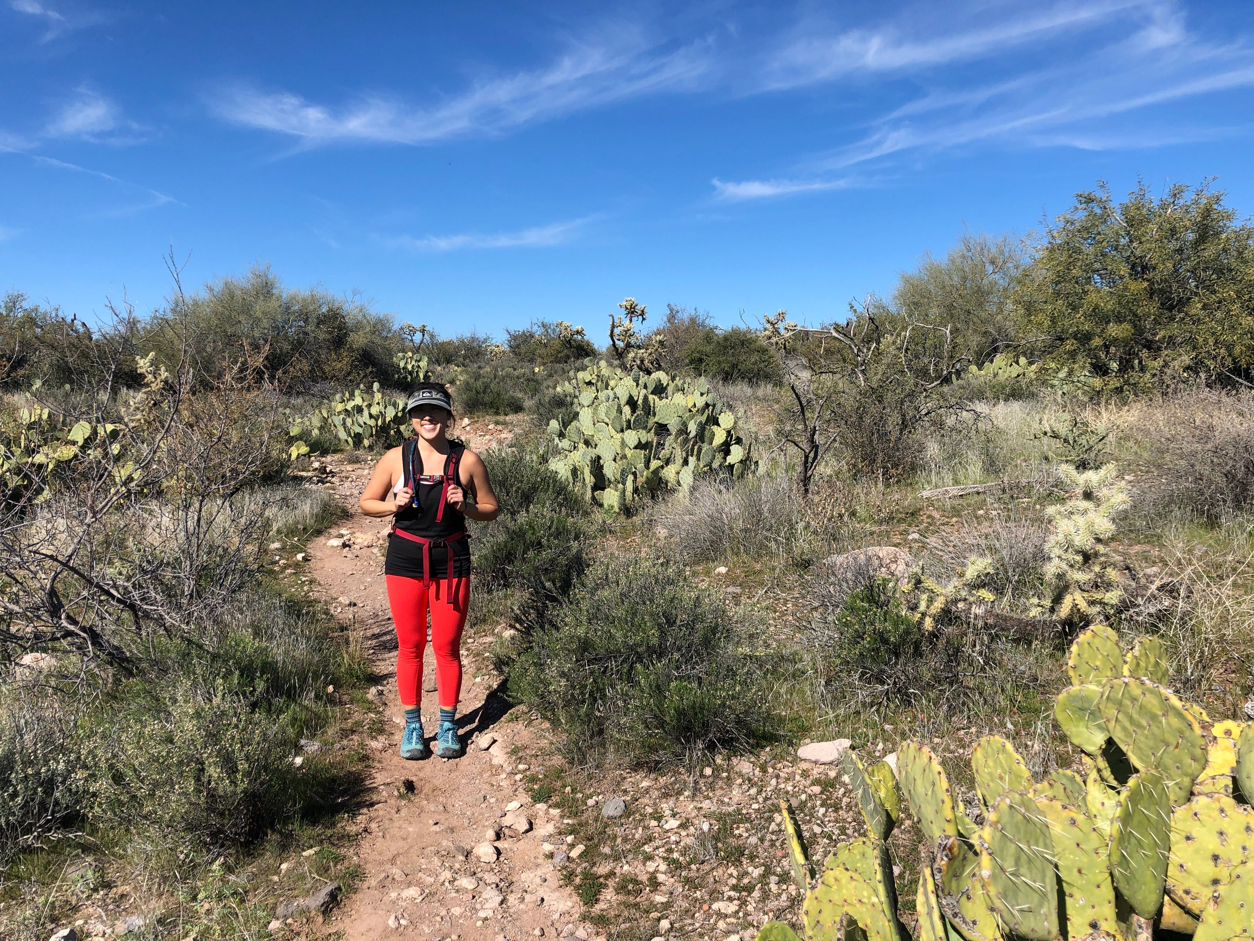 Lost Mesa Loop in Superstition Wilderness | 9 to 5 Hiker
