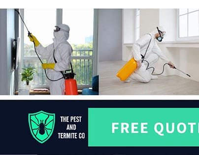 Pest Control Services Gold Coast - Thepestand Termitecompany - Medium