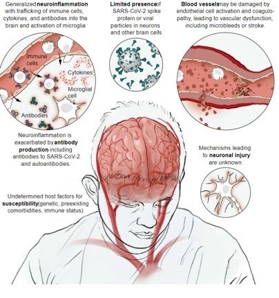 ROLE OF NEUROINFLAMMATION IN NEUROLOGICAL DISORDERS | by VICHAAR by The ...