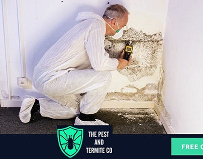 Termite Treatment Gold Coast - Thepestand Termitecompany - Medium