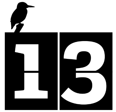 Day 13 Bug Bounty — 60 days 60 bugs challenge (Found P1!!! Hope it gets ...
