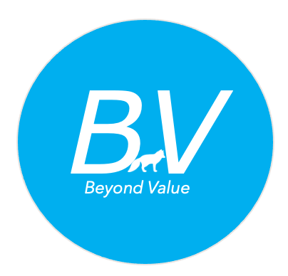 Beyond Value
