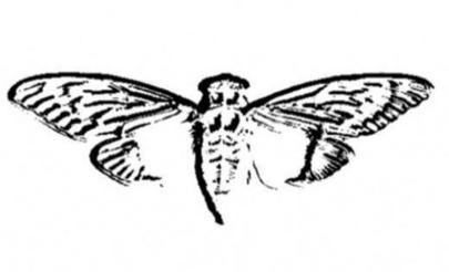 What Is Cicada 3301 Mystery?. “Cicada 3301,” the hardest puzzle on ...