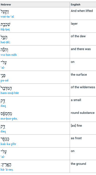 A Passover Heresy. There are few things I love more than… | by Stephen ...