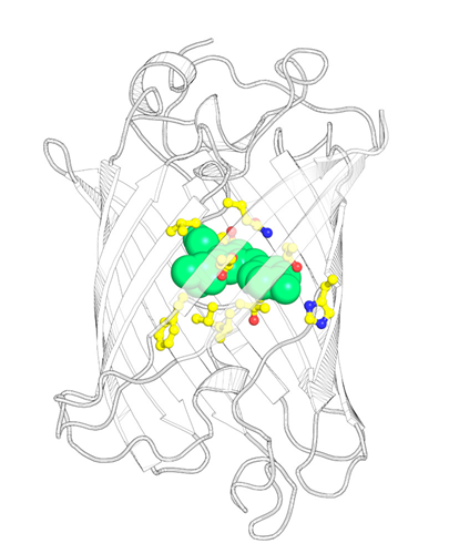 Smarter PyMOL #2: Automate Beautiful Molecular Illustrations in PyMOL with one Click Using .PML ...