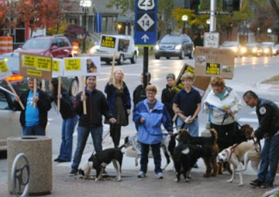 Paying More for Humane Society Services | by Mary Morgan | Medium
