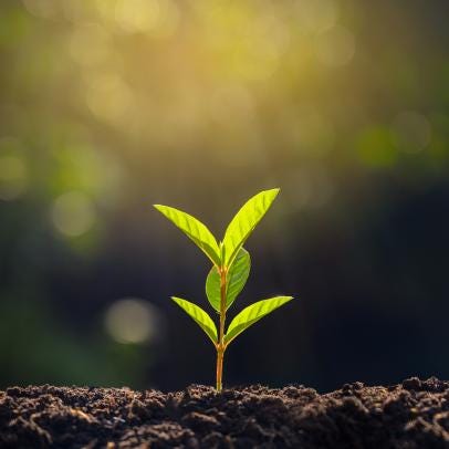 What I learned solving SQL Leetcode : A Two-Week Journey | by John ...