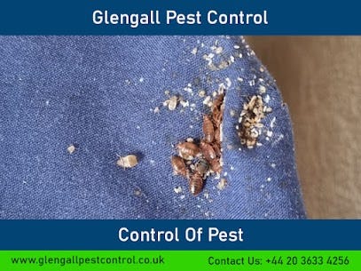 Glengall Pest Control - Abdul Majid - Medium