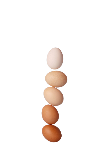The 5 Stages of Scale You Need to Know | by Wayne Mullins | Medium