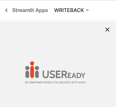 How to Display Images in a Snowflake-Native Streamlit App | by Ragarwal | Medium