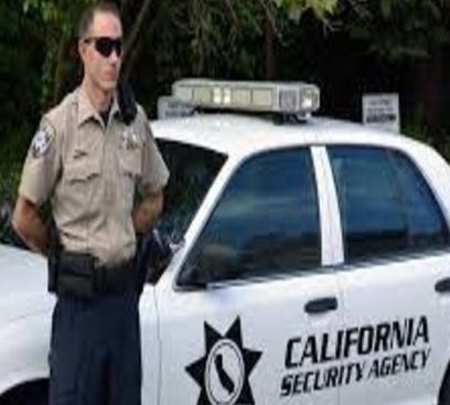 Top Corporate Security Companies - California Safety Agency - Medium