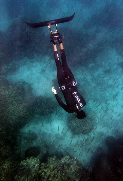 Monofin #1. I love fins. I might be obsessed with… | by Hntr Aych | Medium