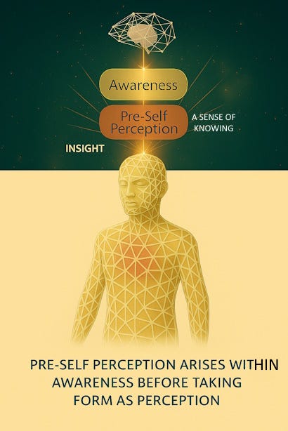 Awareness Before the Self: How Pre-Self Perception Forms | by Siri ...