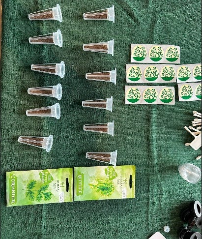 Grow with the Flow: Part 1 of a multi-series intro to hydroponics at ...