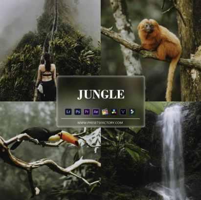 A Complete Guide to Transform Your Images with Jungle Presets | by ...