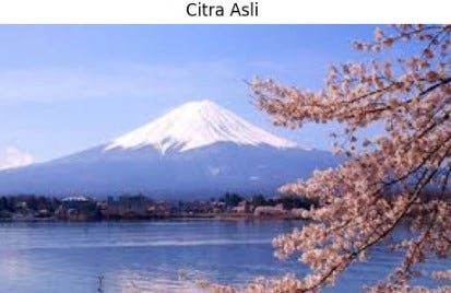 Analisis Filter Spasial untuk Peningkatan Kualitas Citra Digital | by ...