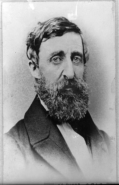 Walden. Henry David Thoreau’s Influential Book… | by Aleiah Rodriguez ...