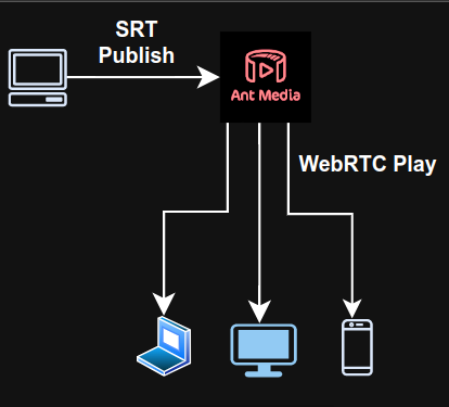 How to Ingest SRT and Play with WebRTC in Ant Media Server | by Alex | Medium