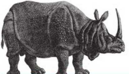 JavaScript Exercises: Scope, Hoisting, and Closures | by Kyle Ledoux ...