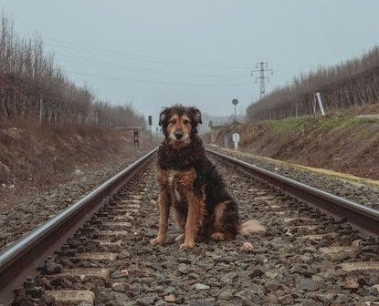 Organism. That morning the air held a certain… | by Evan Halvorson | Medium