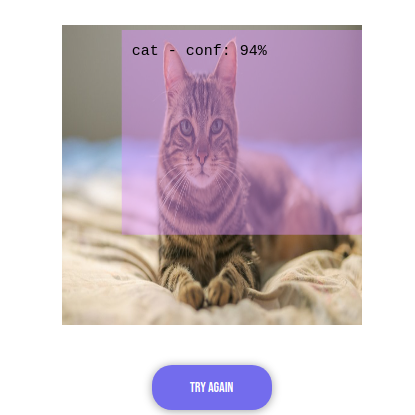 How to Add Object Detection to Your Website the Easy Way | JavaScript ...