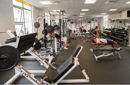 An exploration into sklearn’s Linnerud multioutput dataset | by ...