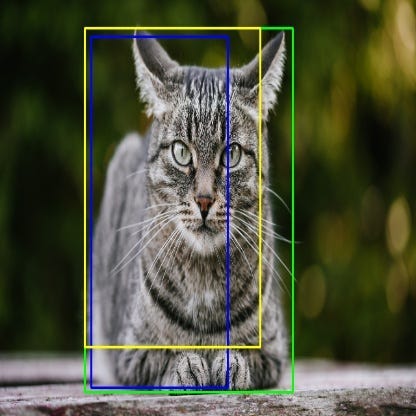Non Maximal Suppression in Object Detection (NMS) | by Abhishek Jain ...