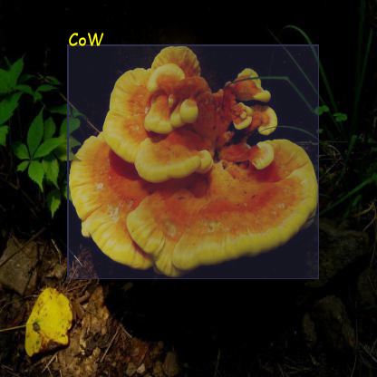 Visualizing Object Detection Model in React JS | by Fahad A Arsal | Medium