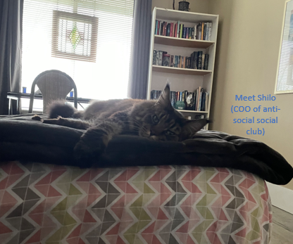 THM Buffer Overflow Prep (Overflow1) Walkthrough: Learn all about Memory Layout & Buffer ...