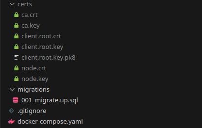 Локальный кластер CockroachDB в Docker Compose | by s.vvardenfell | Aug, 2024 | Medium