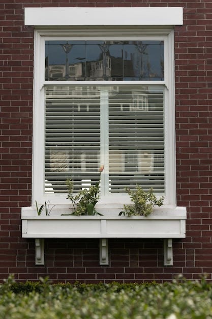 Elevate Your Home with Custom Window Solutions with Kent Bespoke Shutters | by Kent Interior ...