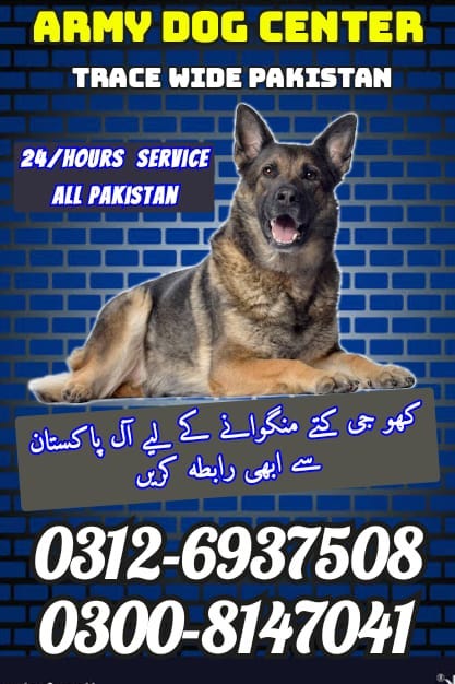 Army Dog Center Bannu Trace Wide ® 03024901922 The trained sniffer dogs ...