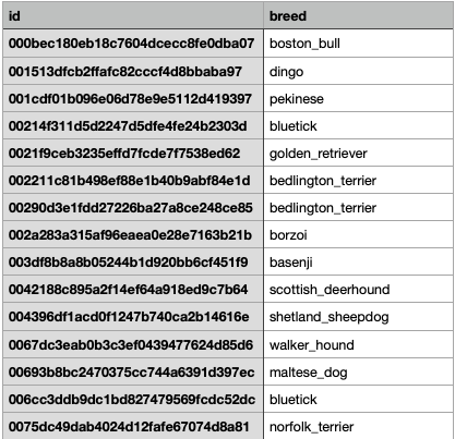 GitHub - diegulio/pytorch-breed-classification: PyTorch Lightning Image Classification Benchmark ...