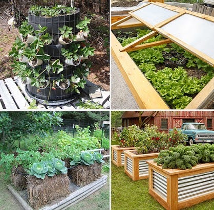 “The Self-Sufficient Backyard: Transforming a Money-Draining House into a Profitable Off-The ...