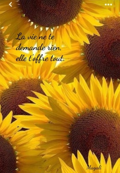 La vie ne te demande rien, elle t’offre tout. La vie ne te demande rien ...