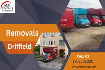 7 Reasons that Why Would You Opt for a Professional Removal in ...