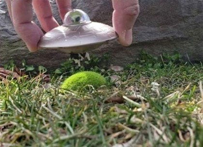 Malaysia’s Miniature Alien Mystery: Unveiling the Enigmatic Encounters ...