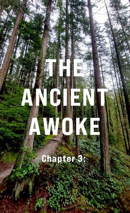 Chapter 3: The Encounter. The air thickened with tension, the two… | by ...