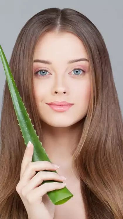 How to Extract, Store, and Apply Fresh Aloe Vera to Aid Hair Growth ...