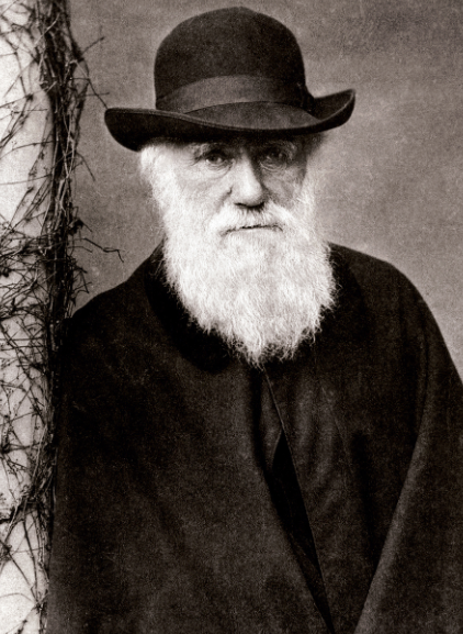 The Genius of Charles Darwin?. In what sense was Charles a genius? | by ...