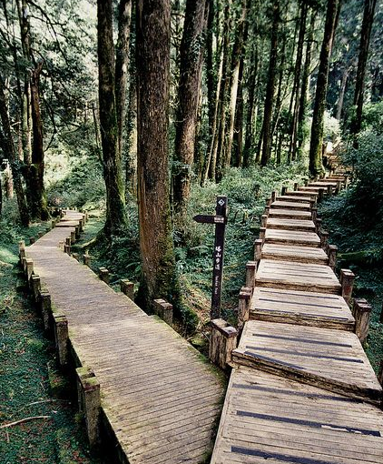 Conditional Rendering In React When I Set Out To Learn The React By John Speck Medium