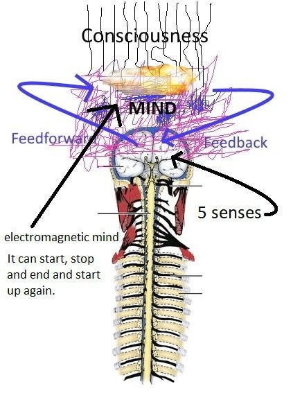 Memory with time in mind. There is this thing about us that we… | by ...