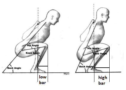 Basic Guide to Squats. Low Bar Squats Vs. High Bar Squats | by Simply ...