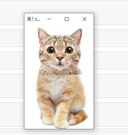 Image processing by using OpenCV in python | by HM | Medium