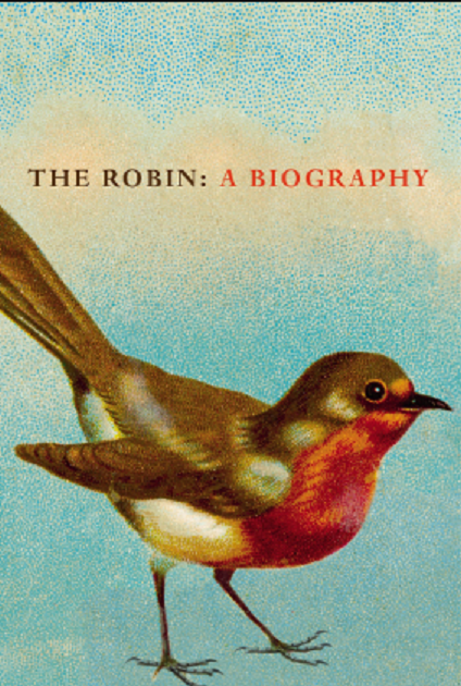 Being Anthropomorphic With a Robin | by Paul Austin Murphy | Medium