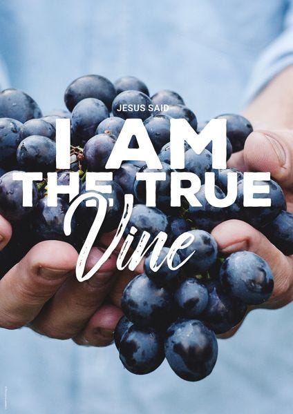 I am the true vine | by Faith Amimo | Medium