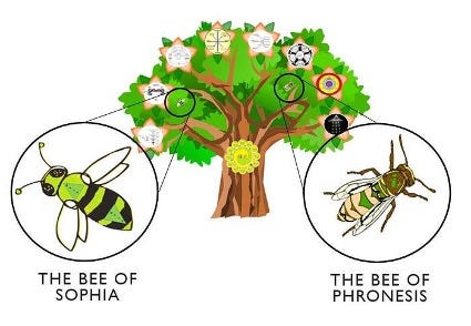 The UTOK Wisdom Bees. This blog was co-authored with Marcia… | by Gregg ...