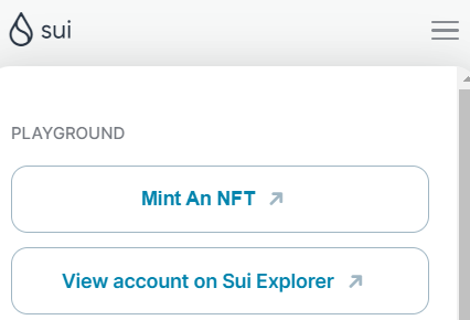 How to mint an NFT in SUI - Irina Derevyagina - Medium