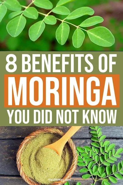Moringa — Health Benefits, and Side Effects - Tiffiny - Medium