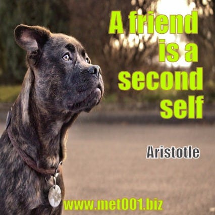 A friend is a second self. | by Seth Ground | Medium